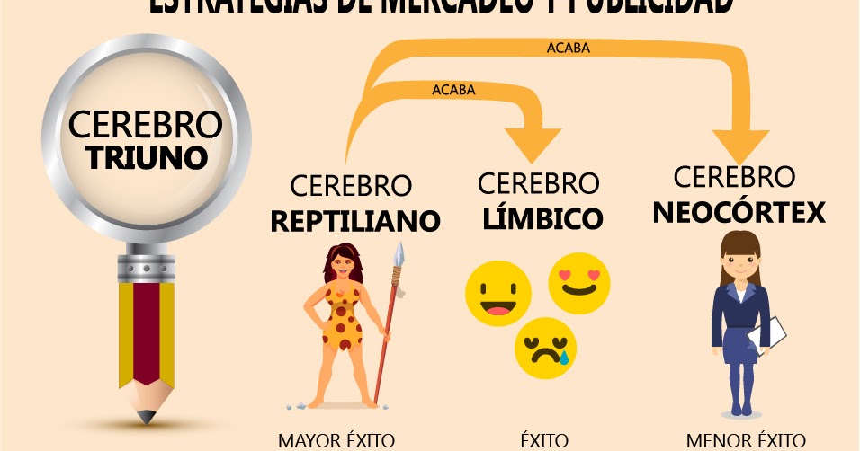 EL CEREBRO TRIUNO ~ MERCADEO Y PUBLICIDAD