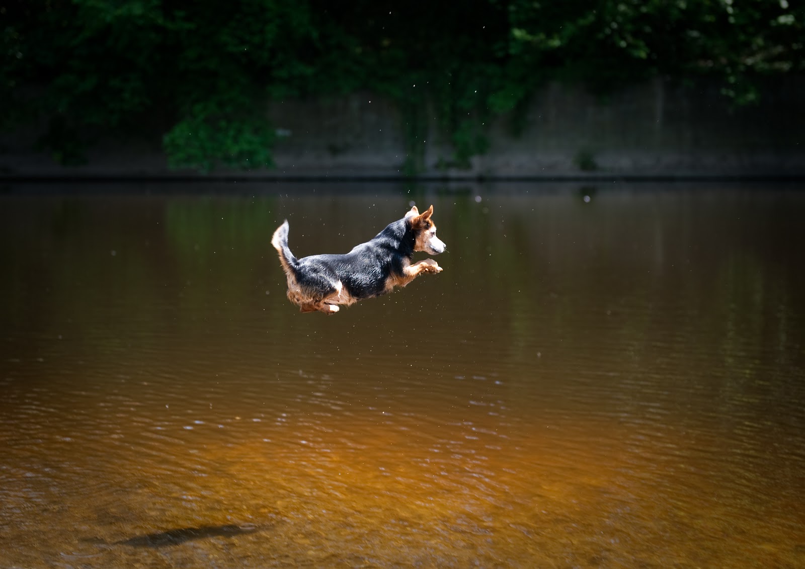 Digital SLR Photography Training: Shooting in Shutter Priority Mode: Uses