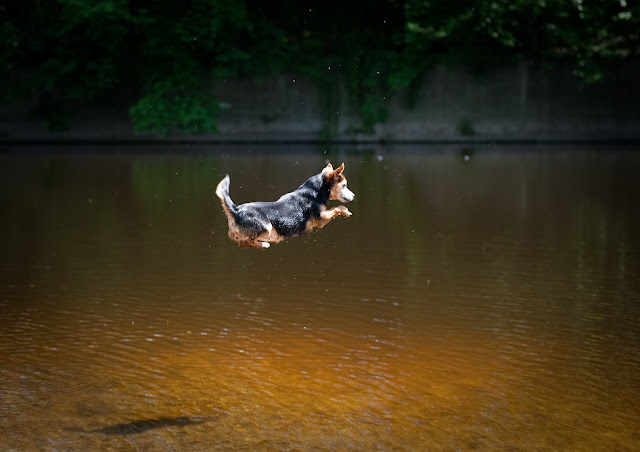 Digital SLR Photography Training: Shooting in Shutter Priority Mode: Uses