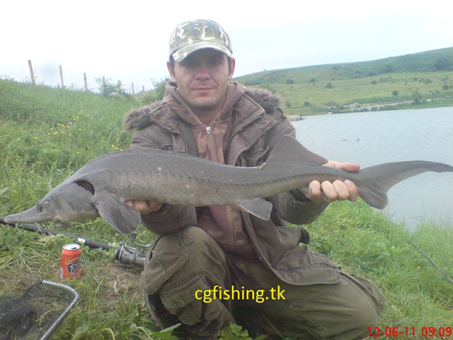 cgFishing : blog de pescar pentru pescari !: Pescuit la Cega pe Iazul ...