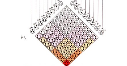 การถ่ายทอดทางพันธุกรรม: Polygene