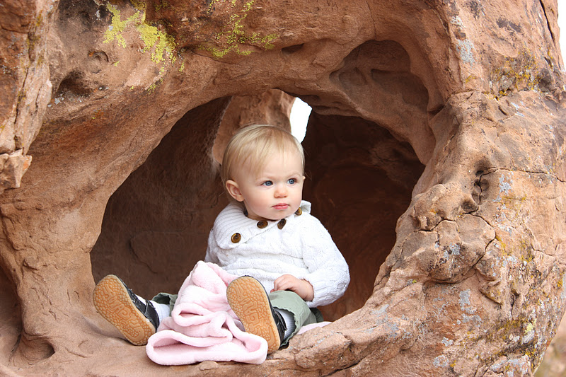 A Tree Lined Street: Project 366: Week 3 & 4