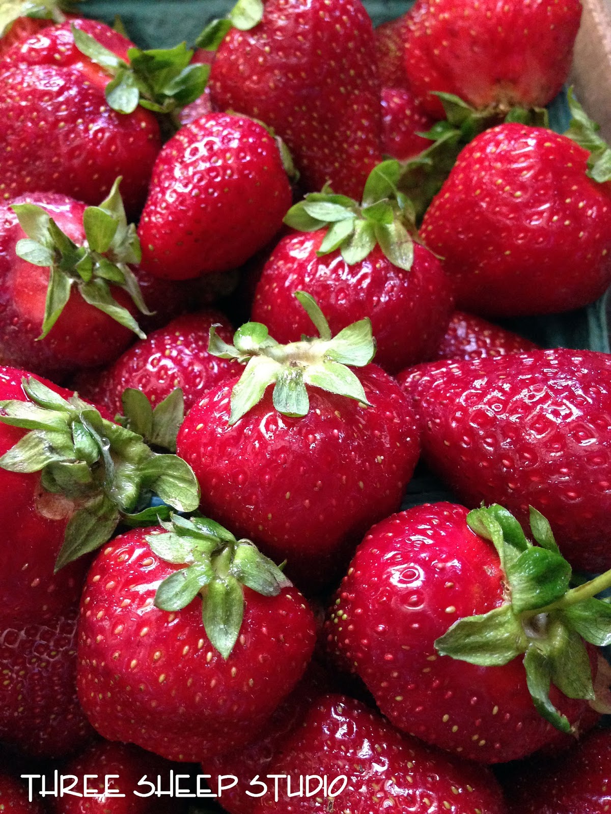 Three Sheep Studio: Wooly Strawberries...