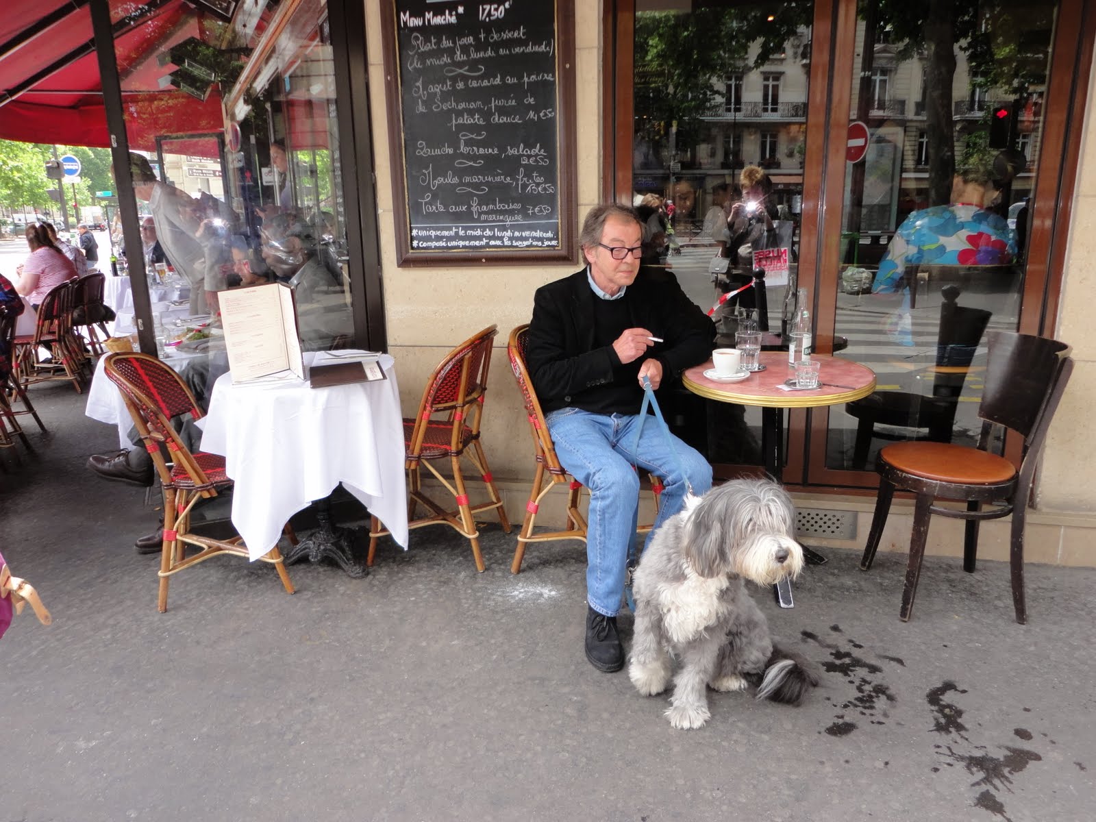 Patch in Paris Dog Blog: Les Chiens de Paris