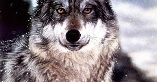 Who are the Turks ?: What is Symbol of Turkey