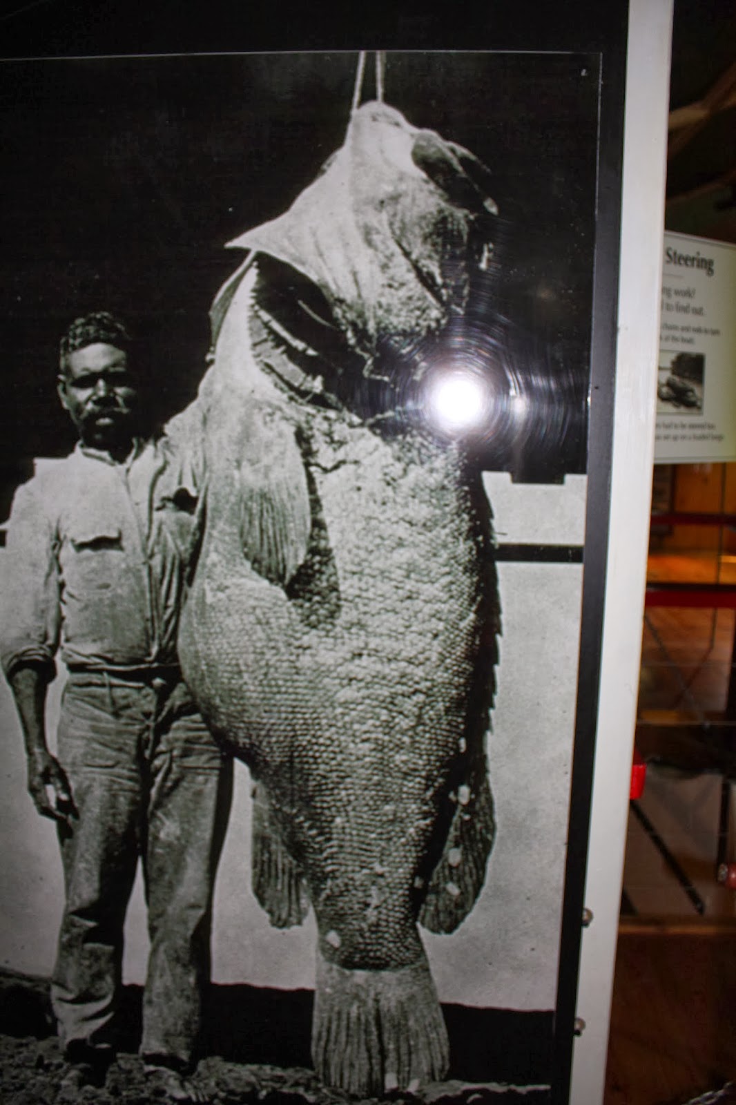 John and Judy Travel Australia: February 2014