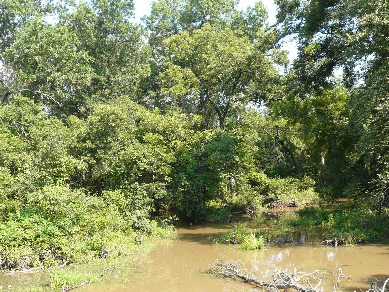 Archiving throughout Arizona, New Mexico, Oklahoma, and Texas: Deep ...