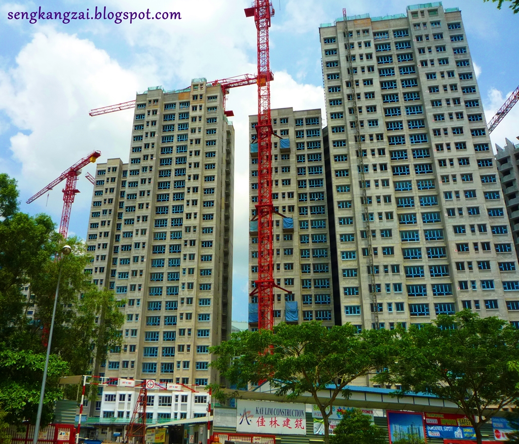Zai@Sengkang: Fernvale Ridge Snapshot (Completed)