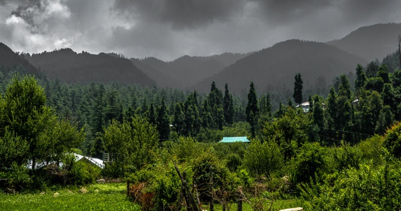 CHURDHAR TREK VIA CHOUPAL - SARAHAN, Himachal Pradesh