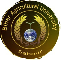 government jobs: June 2011