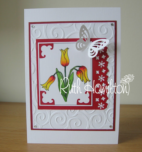 A Passion For Cards: Cards Using Tonic Studios Products