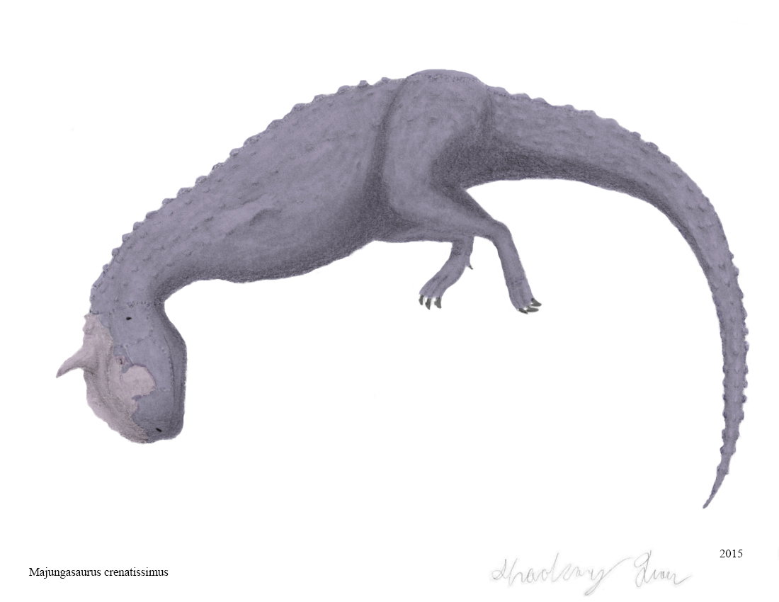 Sounder Art: Majungasaurus crenatissimus