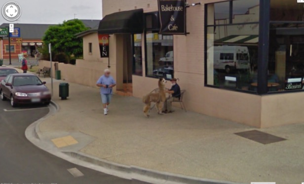 15 Weird Images From Google Street View - LOLSPOT