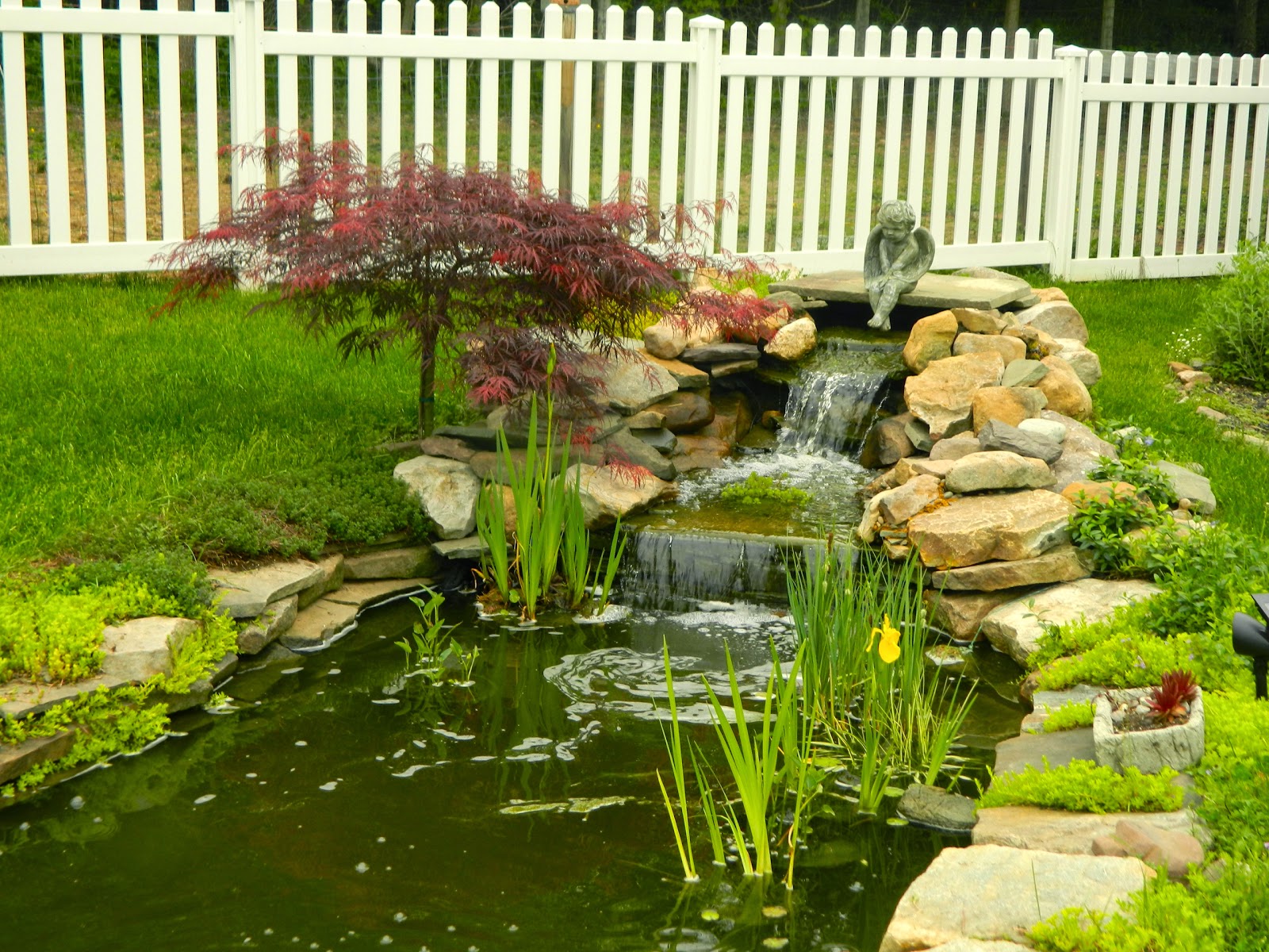 Pam's English Cottage Garden: May Dreams