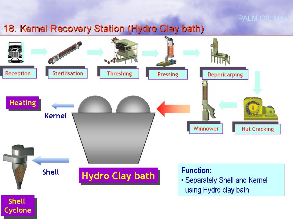 Pabrik Pengolahan Kelapa Sawit | Kelapa Sawit