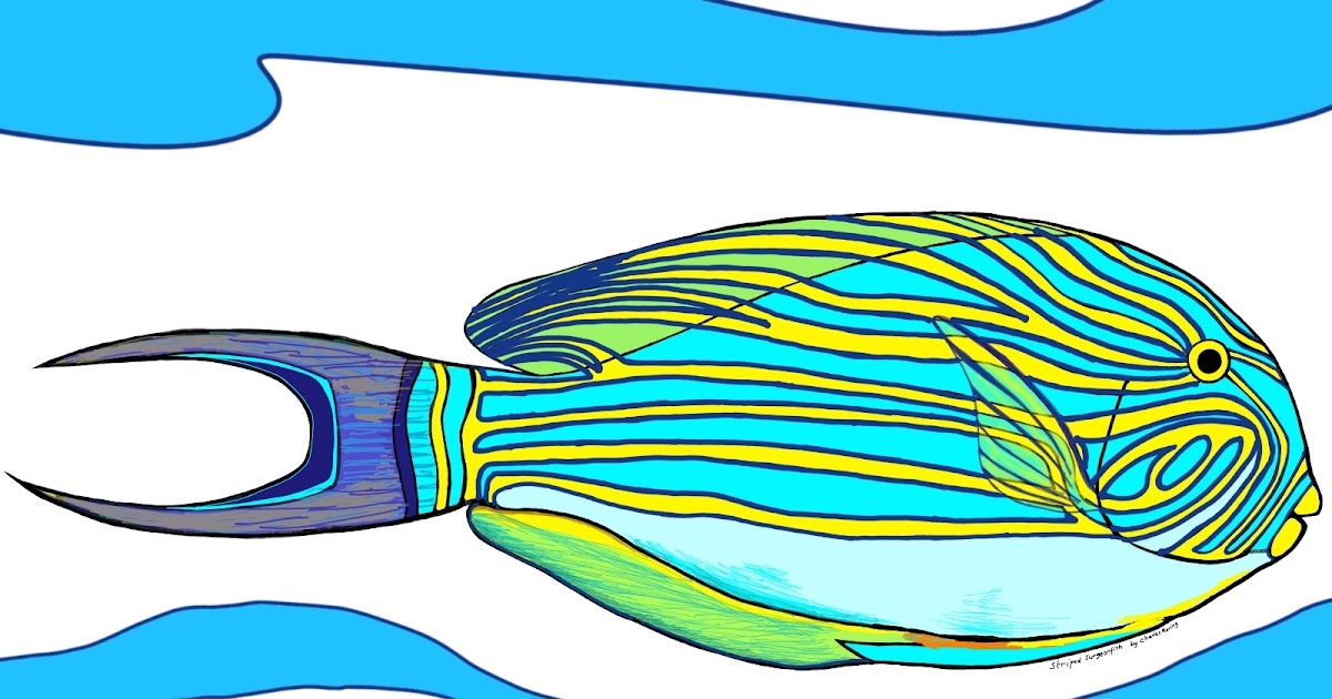 Wildlife Drawing: Striped Surgeonfish