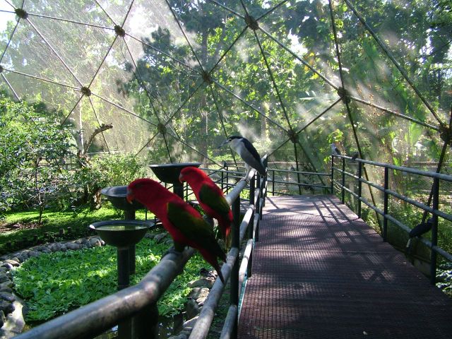 Make It Davao: Malagos Garden Resort