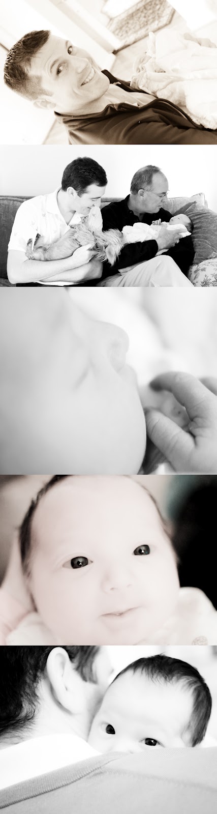 Introducing Grace | Cleveland Newborn Photography - Brittany Gidley ...