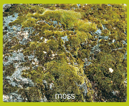 SGAguilar Javier Ramos: 2014