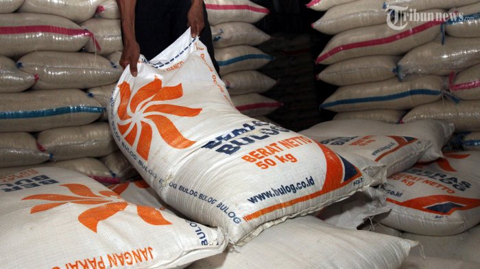 Beras Impor Vietnam Masuk, Tiga Kementerian Harus Bertanggung Jawab ...