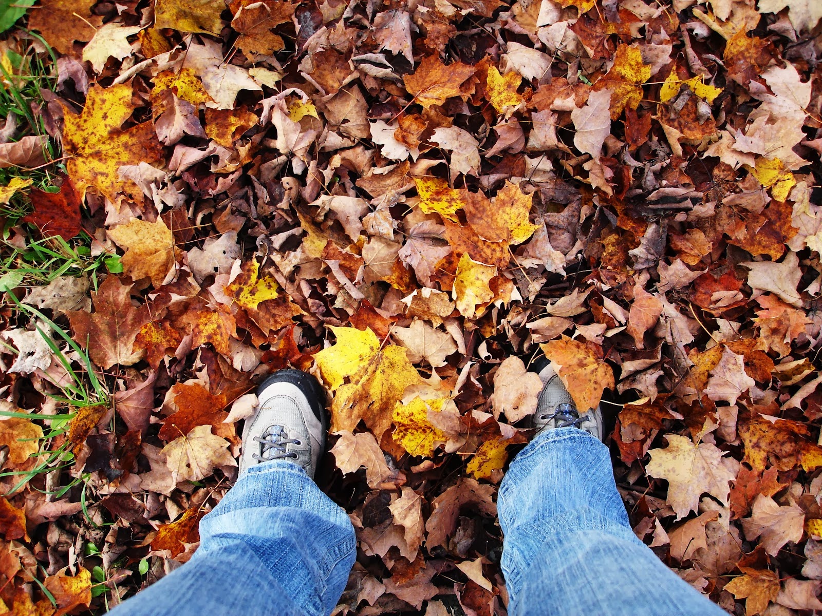 Our Kooky Life: Crunching Leaves Underfoot or Bubble Wrap Popping ...
