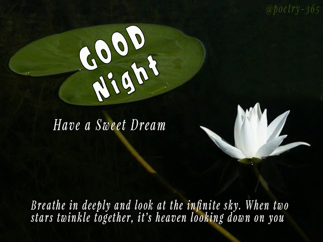 Wishes and Poetry: Cute Good Night Quotes with Frish Flowers for Friends