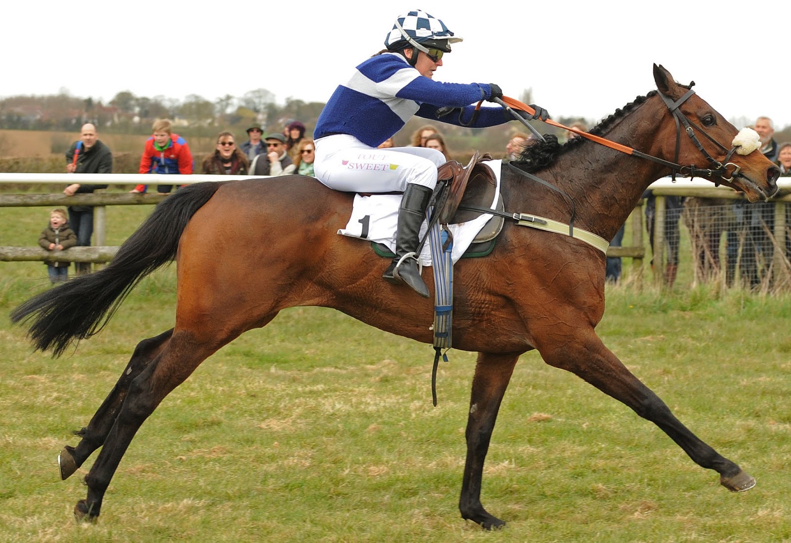 www.mjayphotography.co.uk: HIGH EASTER POINT TO POINT, HIGH END RACING ...