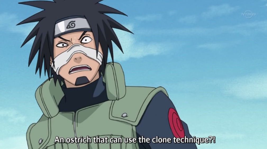 Cassie's Anime and Manga Blog: Shounen Filler: Naruto