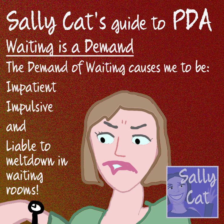 Sally Cat PDA: Memes About Demand Avoidance