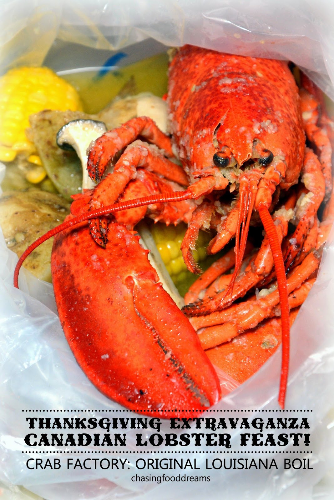 CHASING FOOD DREAMS: Crab Factory, Original Louisiana Boil: A ...