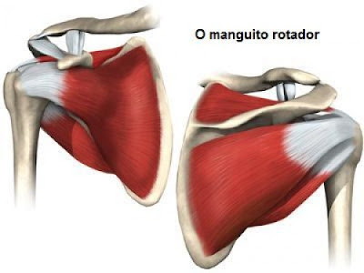 Holisticocromocaio: SAÚDE E EQUILÍBRIO - DOR NO OMBRO? O QUE É SÍNDROME ...