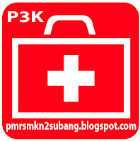 Pmr Smkn 2 Subang: P3K & PP