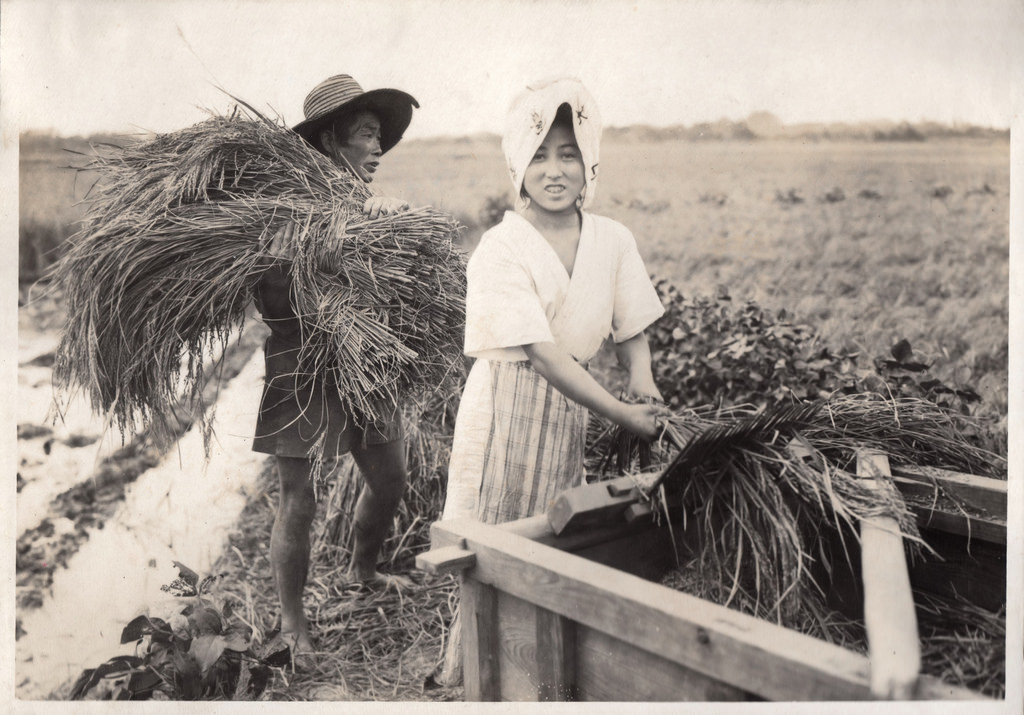 Rarely-Seen Pictures Show the Farm Work in Japan over 100 Years Ago ...