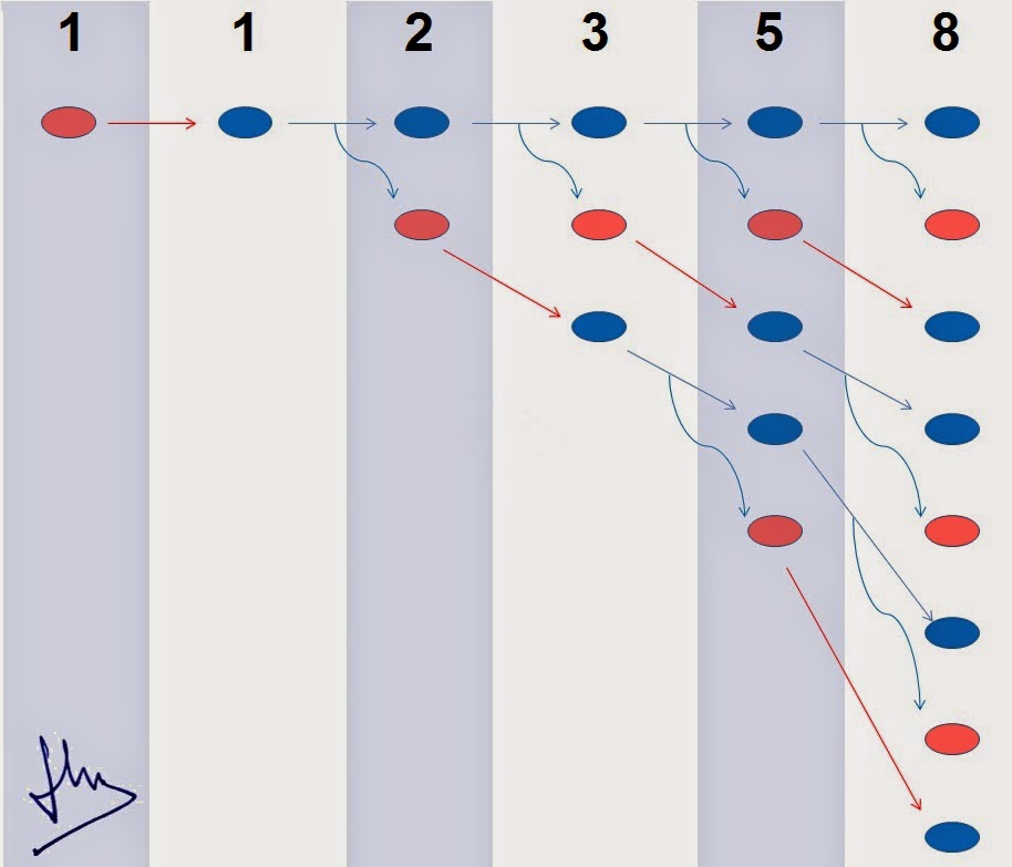 pajina libre: La naturaleza sabe contar, numeros de Fibonacci ...