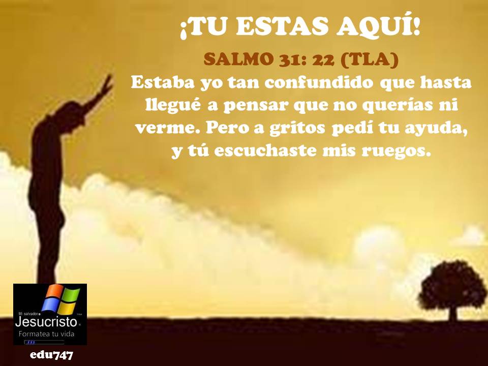 desde mi corazon: ¡TU ESTAS AQUÍ!