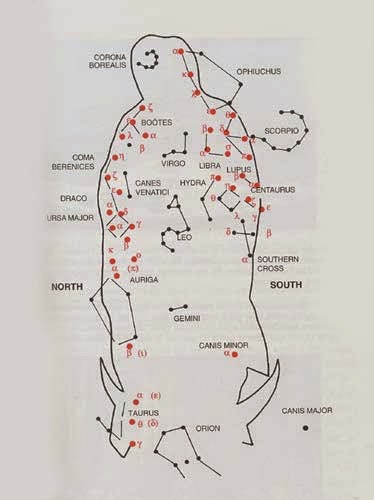 2. The image of Mary upon the tilma actually are of constellations that ...