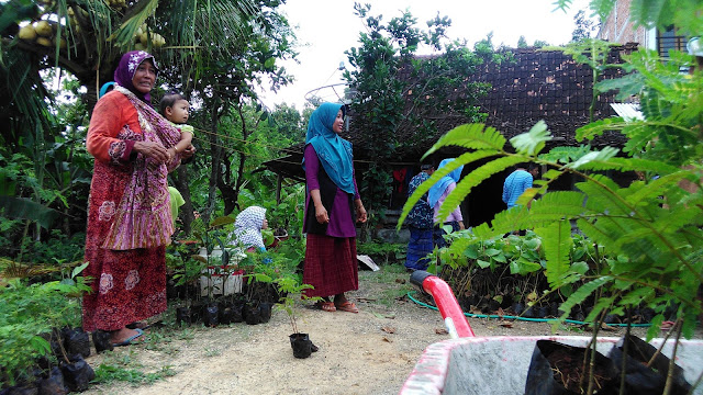 Filosofi Sedekah Pohon - PUTRI APRILIA SUTOMO SMAGA