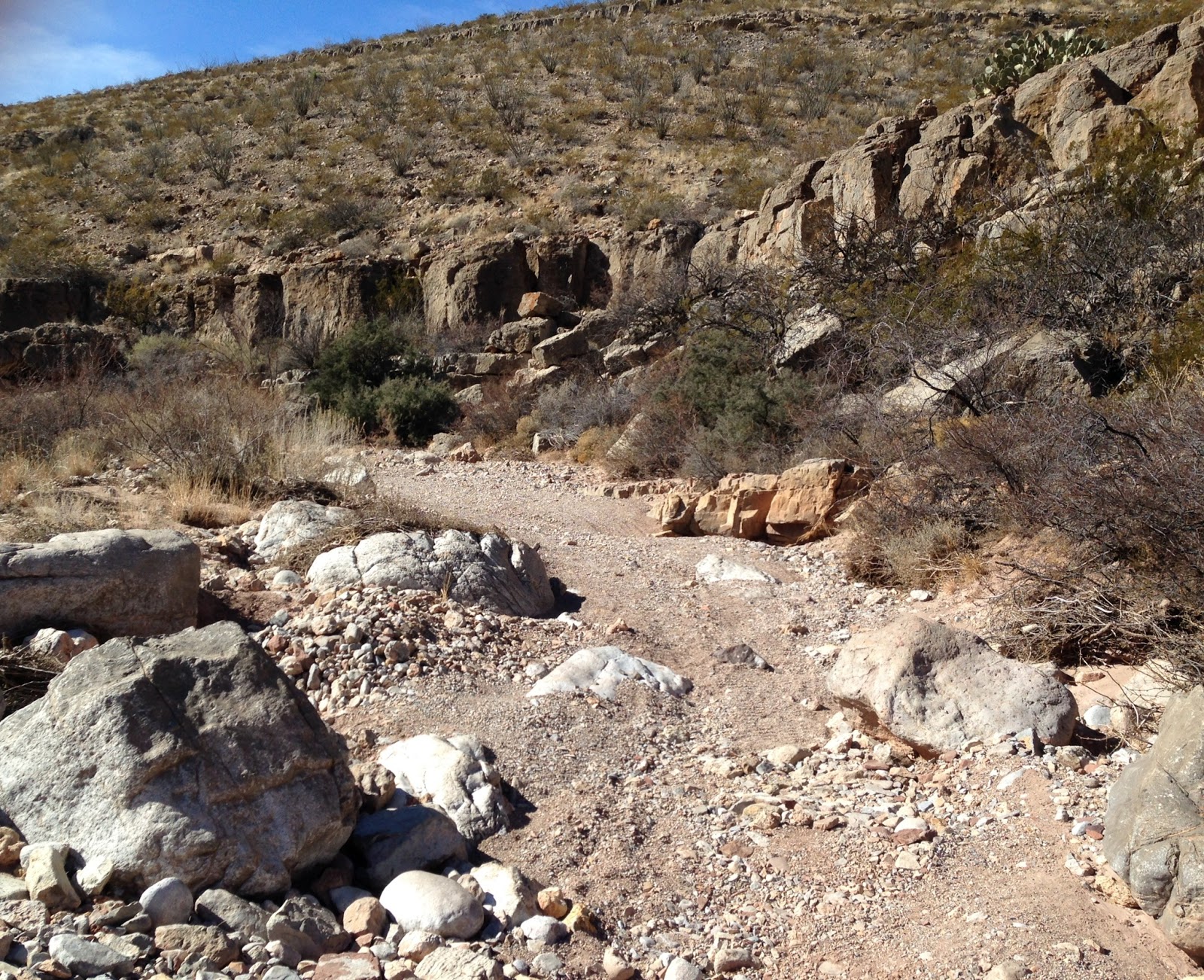 Southern New Mexico Explorer: Garfield Canyon- Caballo Mountains