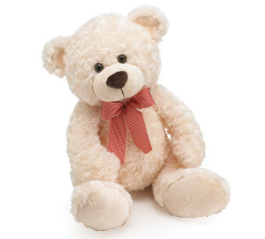 Ballard Blossom, Inc.: Cream Colored Teddy Bear