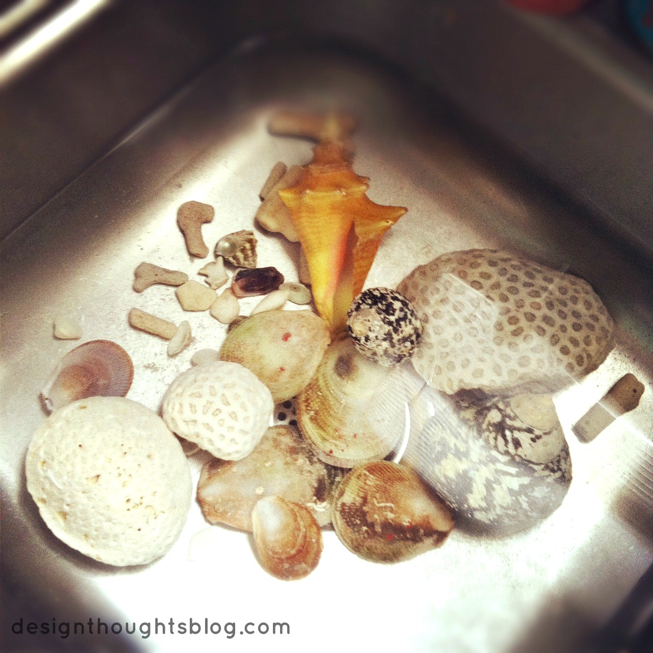 DIY : Vacation Shadow Box {Shells!} - Design Thoughts STUDIO