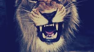 Kisah The Lion Of Allah - Hamzah Ibn Abdul Muthalib - Mencari Pendidikan