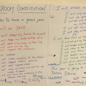 Our Classroom Constitution | Sustainable Montessori