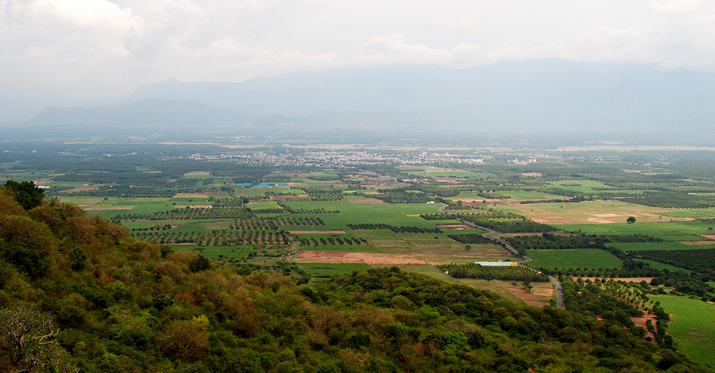 Tamilnadu Tourism: Cumbum Valley