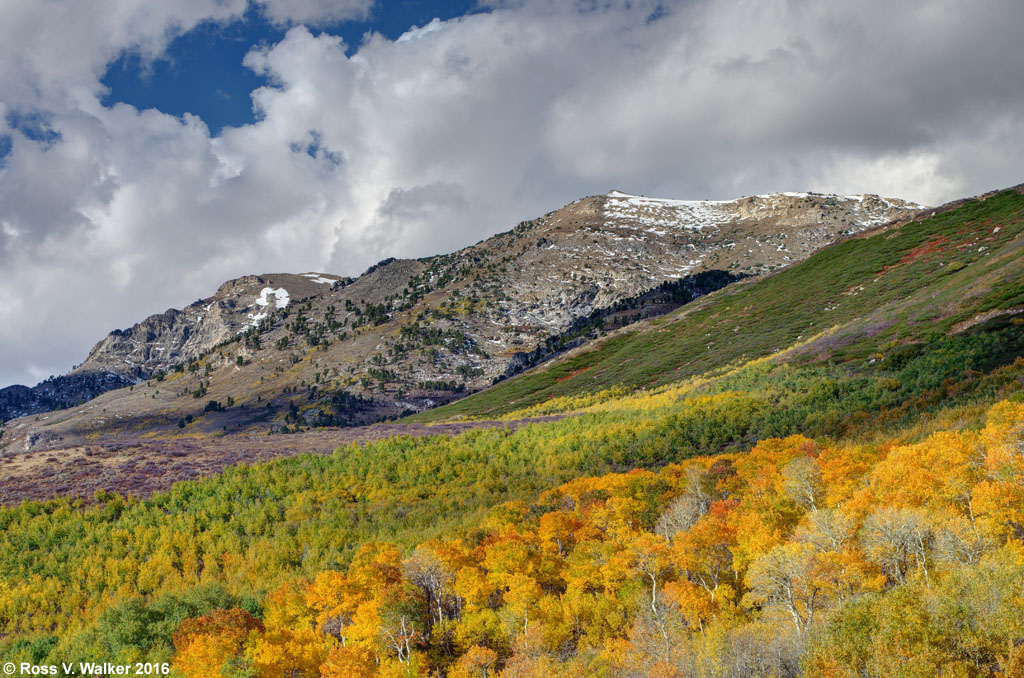 Ross Walker photography: Angel Lake Scenic Byway, Nevada