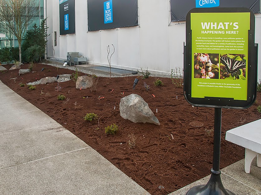 Pacific Science Center Life Sciences: New Pollinator Garden at Pacific ...