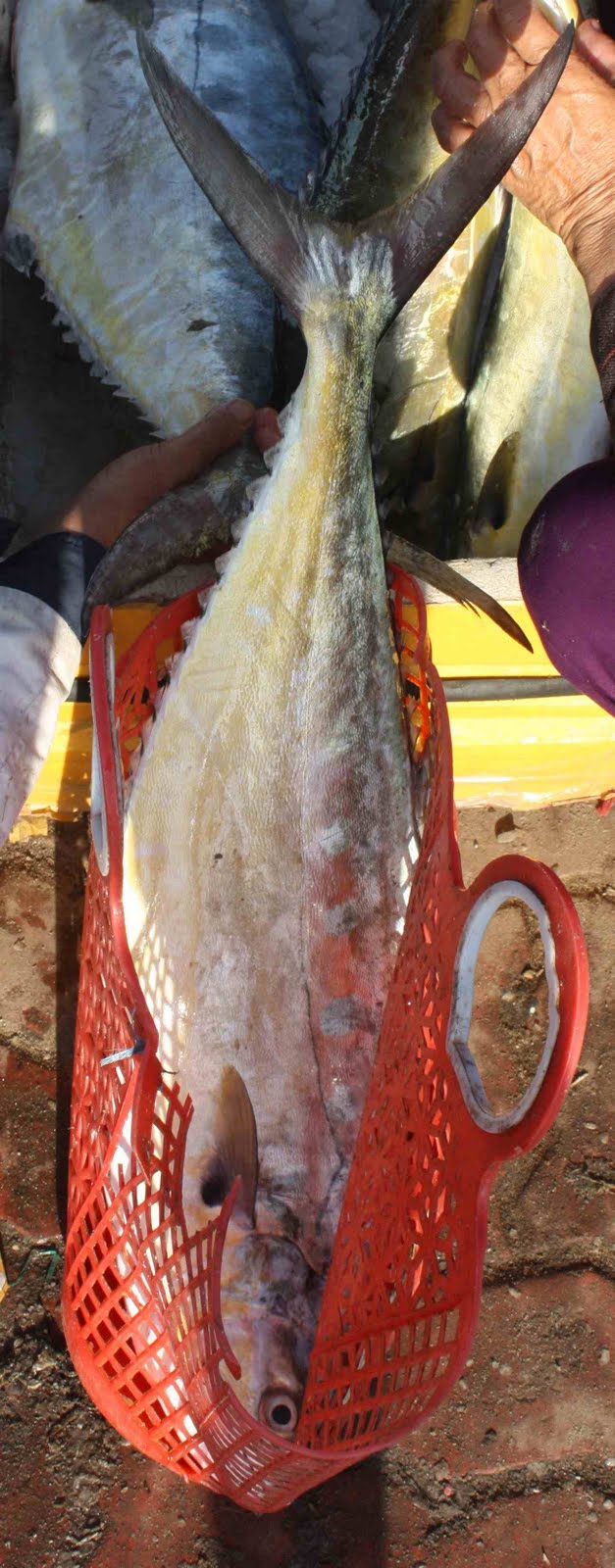 The World Tastes Good: Weekend Escape to Dong Hoi