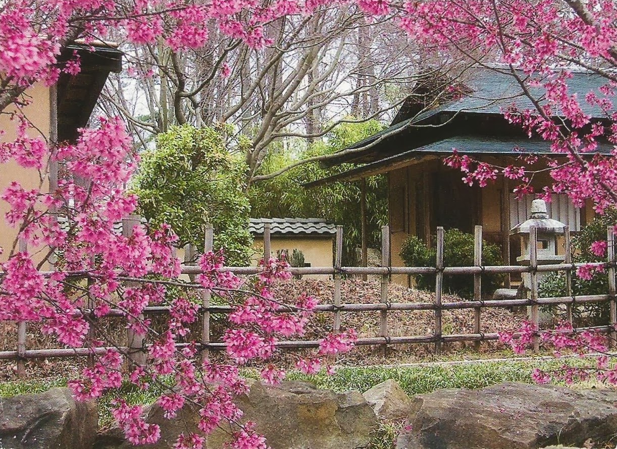 Postcards on My Wall: Tea House, Japanese Garden, Birmingham Botanical ...
