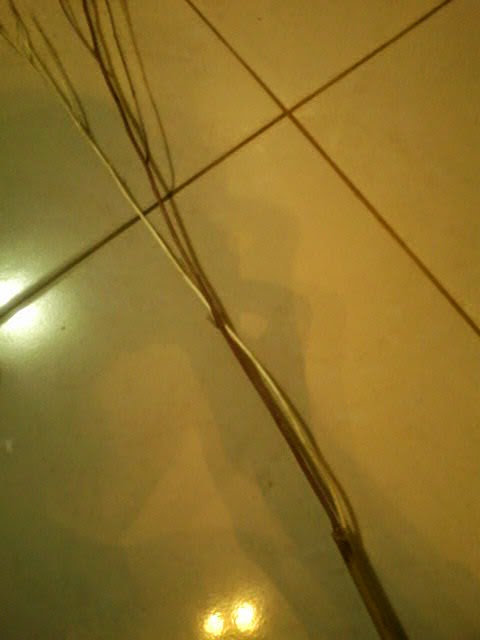 Pondok Dahar Lauk Jogja: Cara & Tips Merangkai Bambu Ulir atau Ranting ...