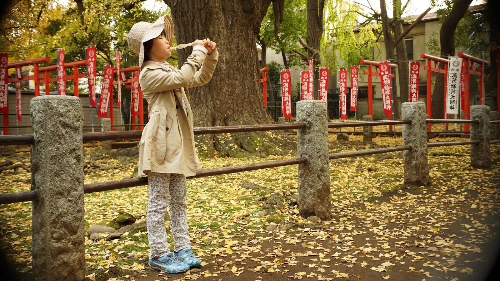 M42 MOUNT SPIRAL: 試写記録：KMZ Helios-33 35mm F2