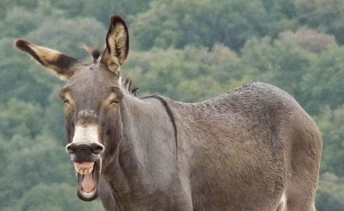 El Rincón de la Colo: EL ÉXITO DE QUIEN ES?